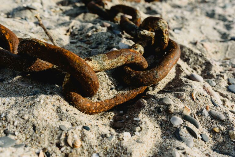 Haiti’s Independence Day: A Celebration of History, Culture, and ...